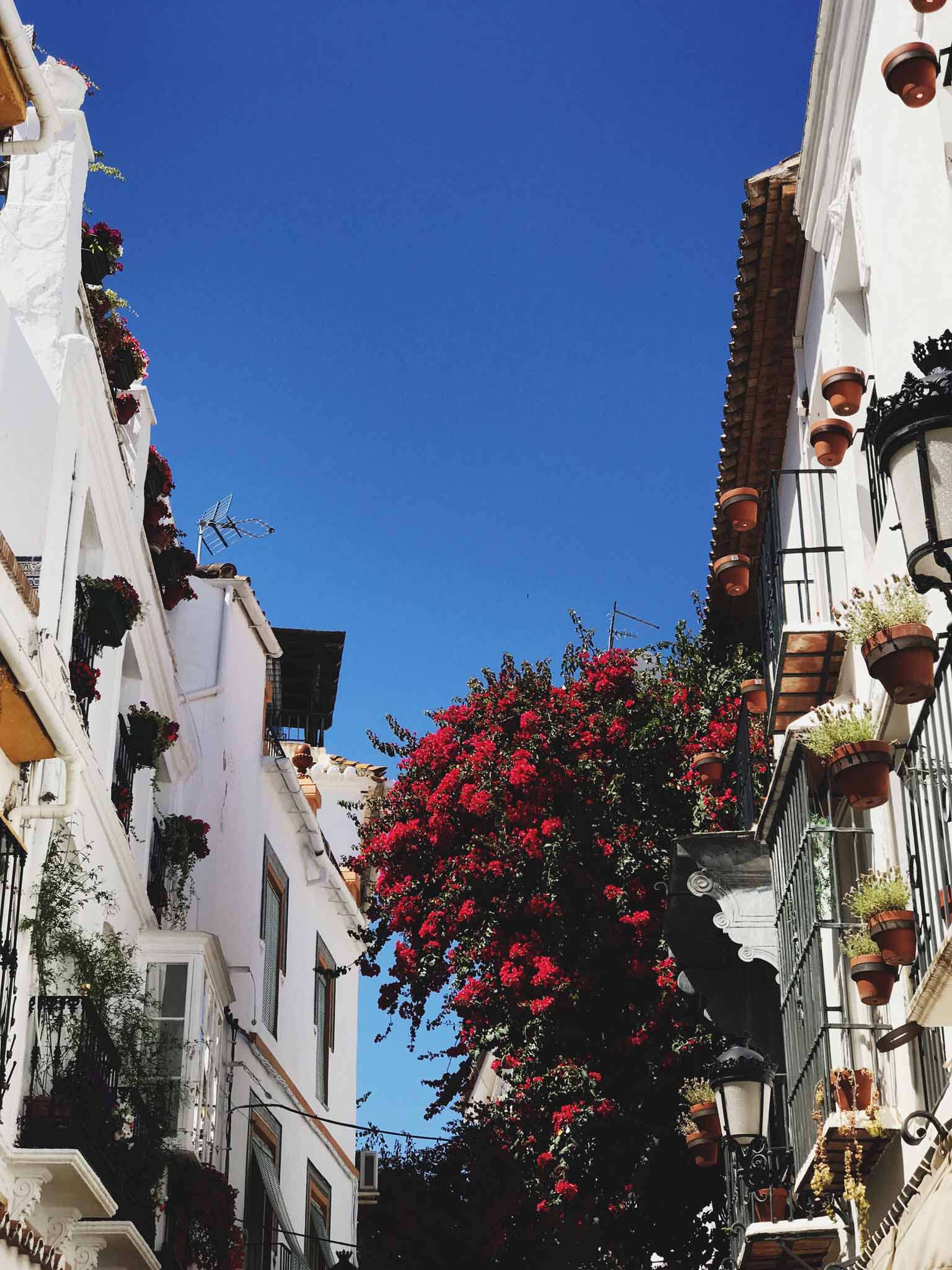 Marbella Journal - Josh Dade - BasementApproved