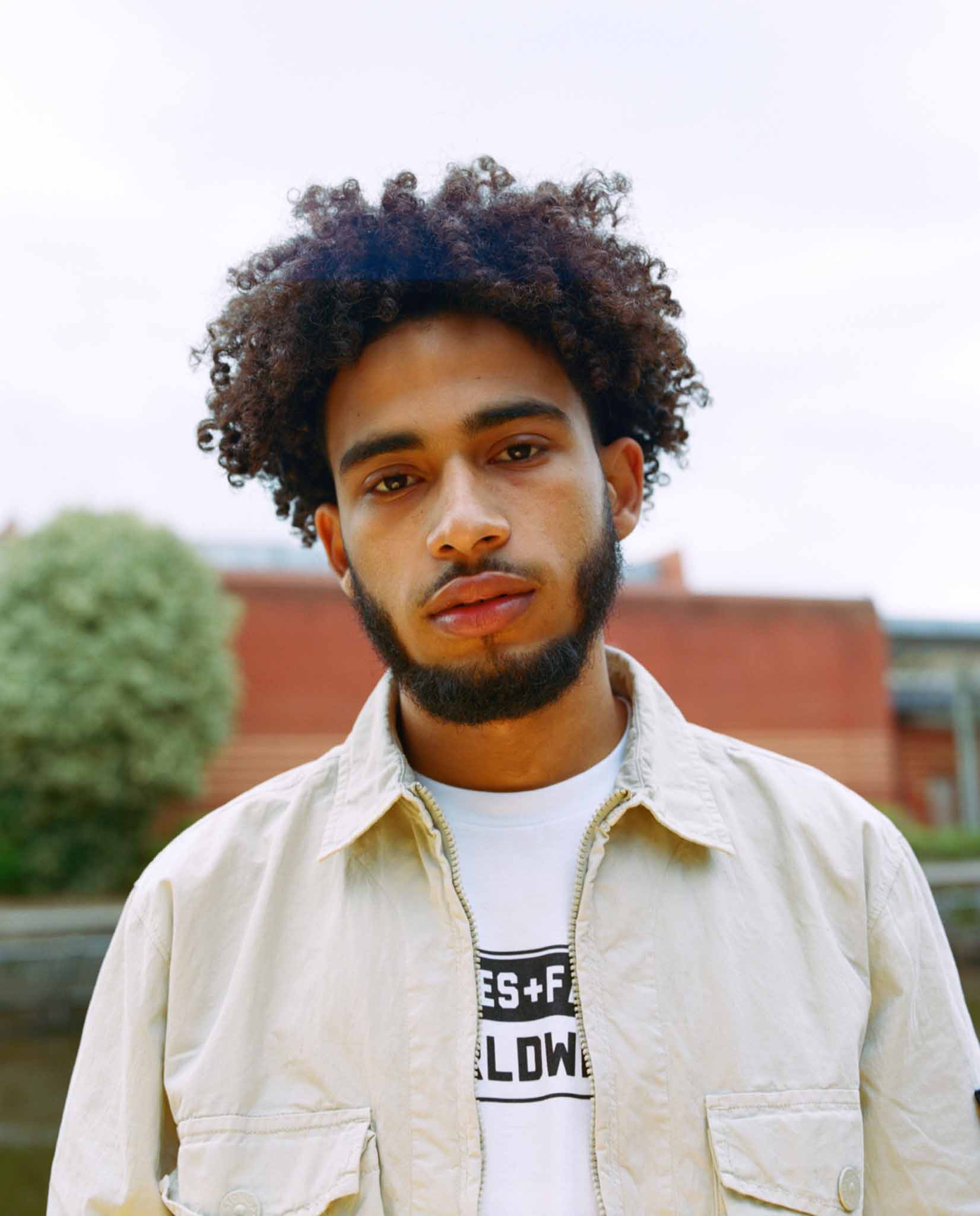 Introducing : Rushy - BasementApproved