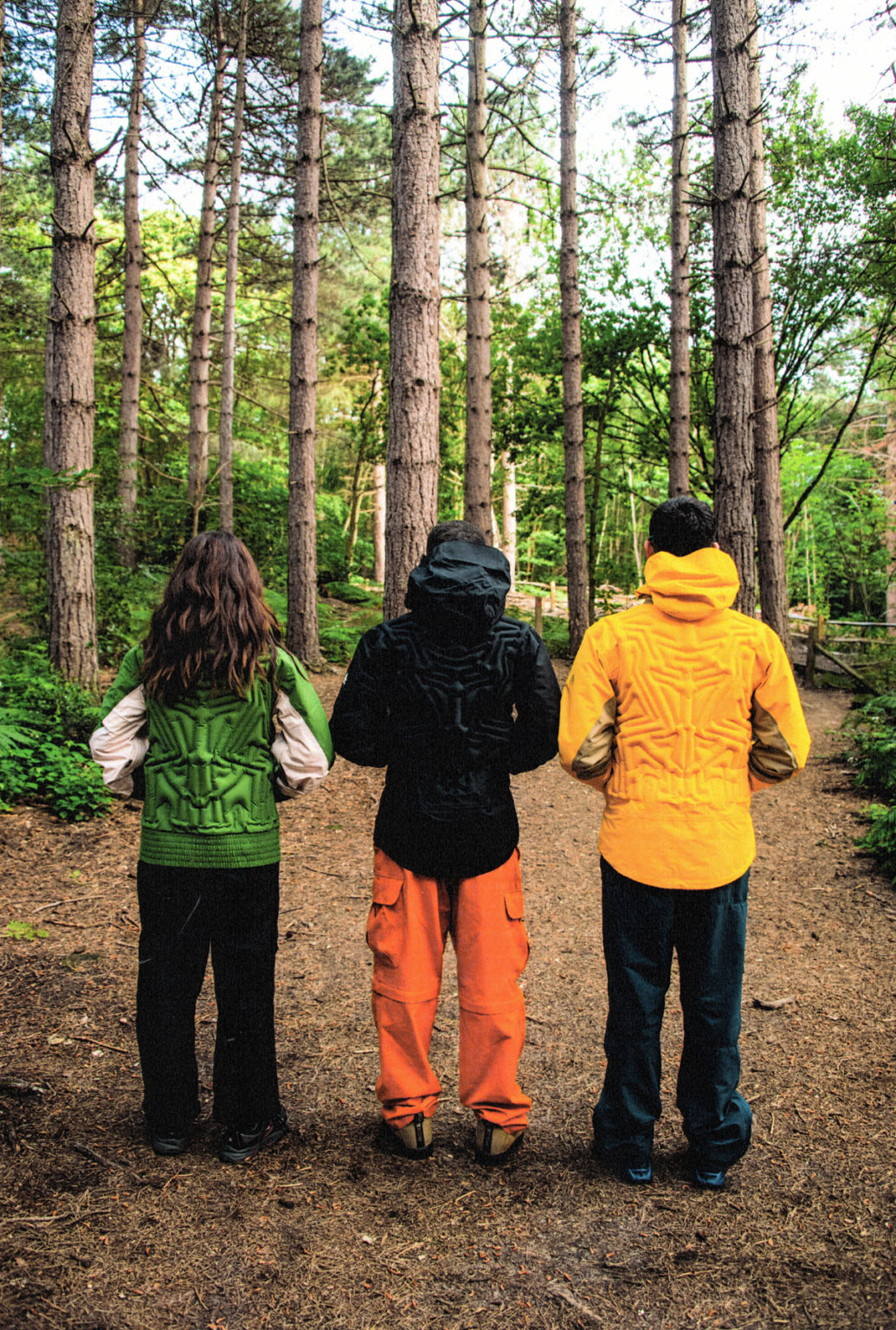 Dive into The ACG Canyon - BasementApproved